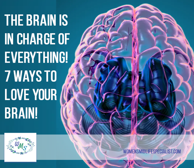 The Brain is in Charge of Everything | 7 Ways to Love Your Brain ...