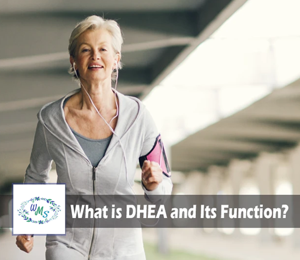 What is DHEA and Its Function? – Women's Midlife Specialist